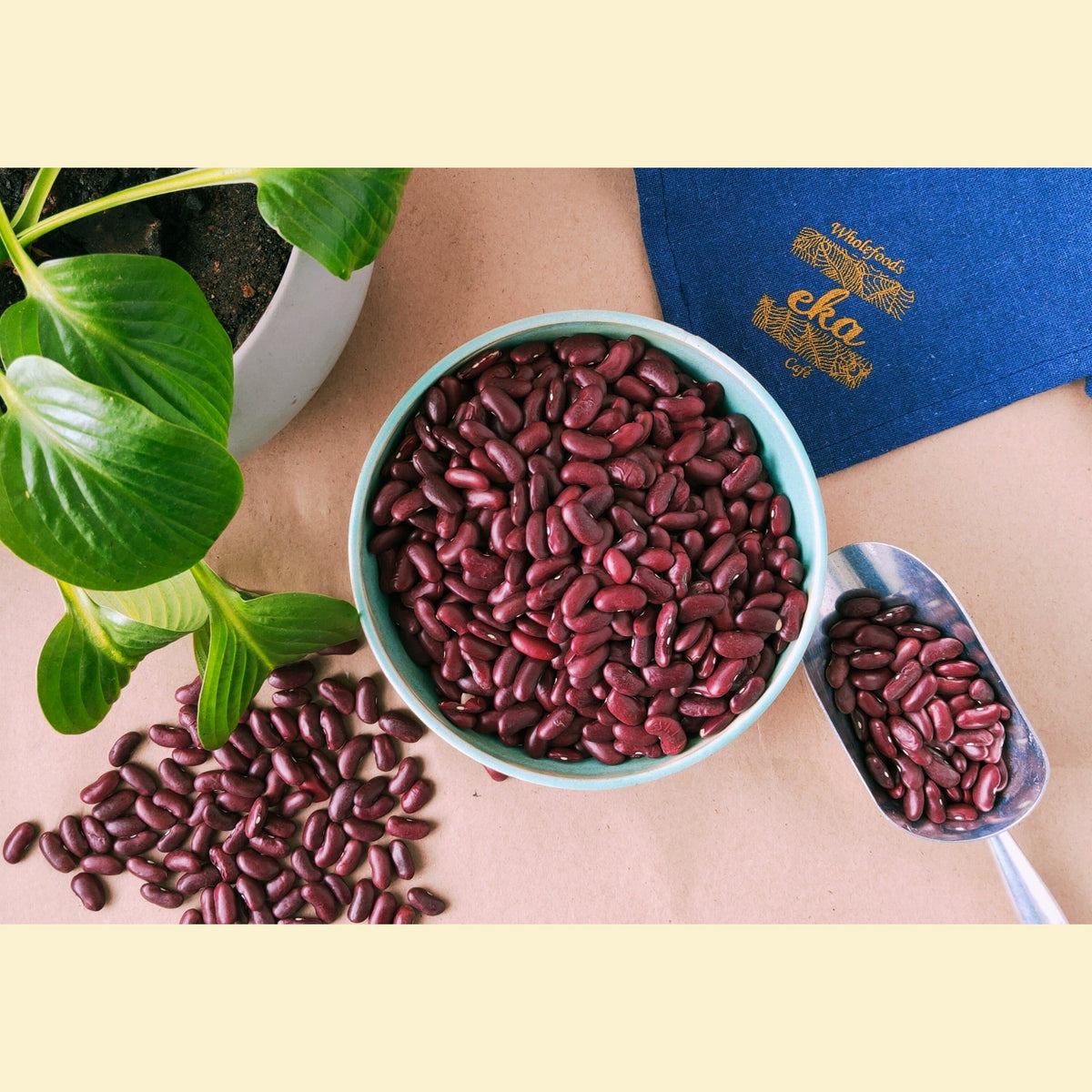 Kidney Beans - Red – Eka Bulk Organic Wholefoods & Liquid Deli
